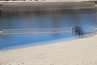 Cleaning up the beach | Bonner County Daily Bee