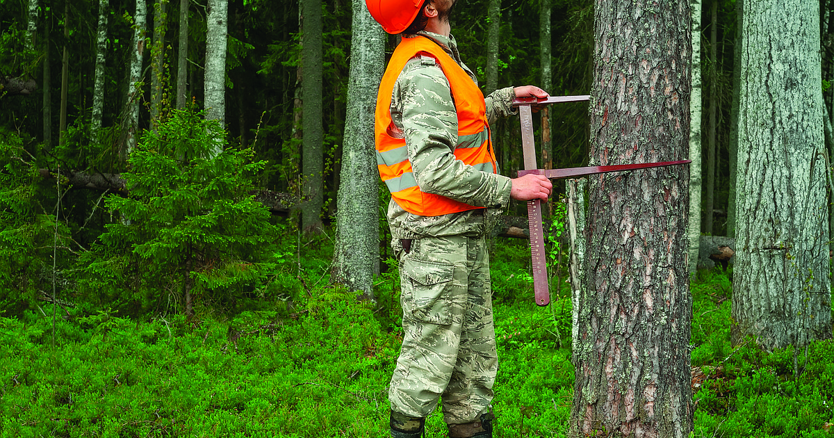 Forest measurements class set for Sandpoint | Bonner County Daily Bee