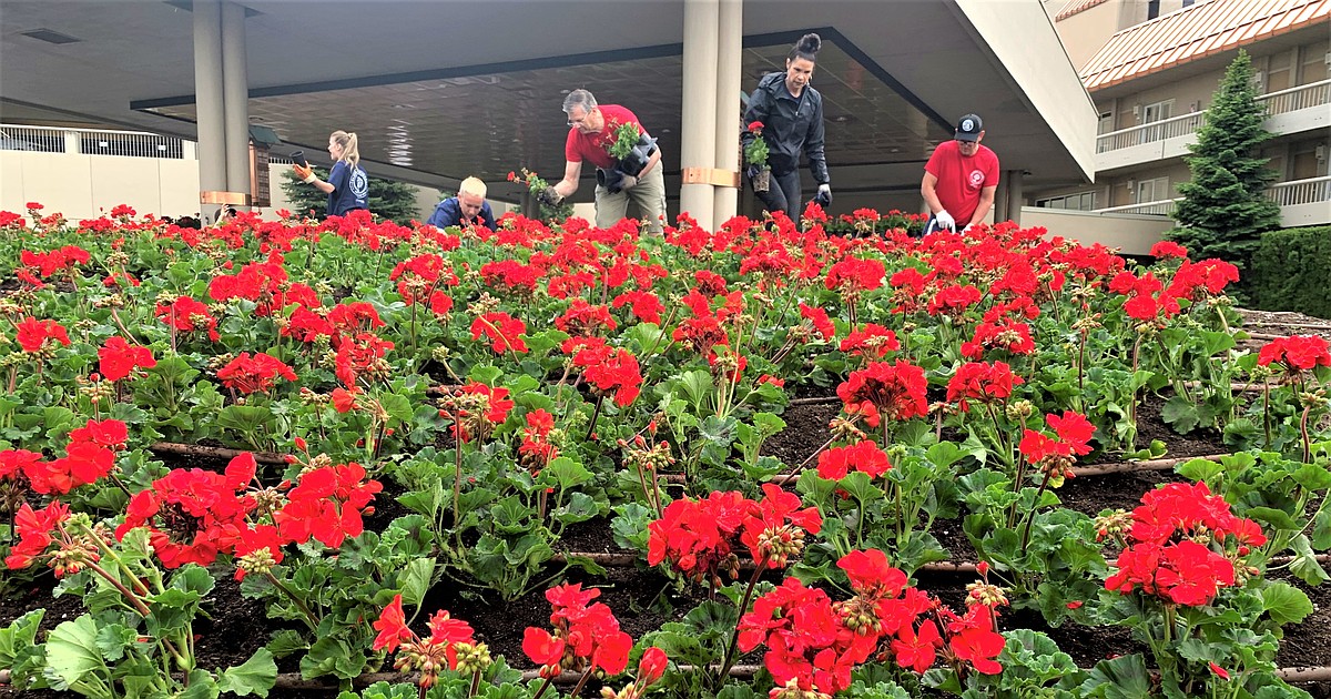 Reddy for summer | Coeur d'Alene Press