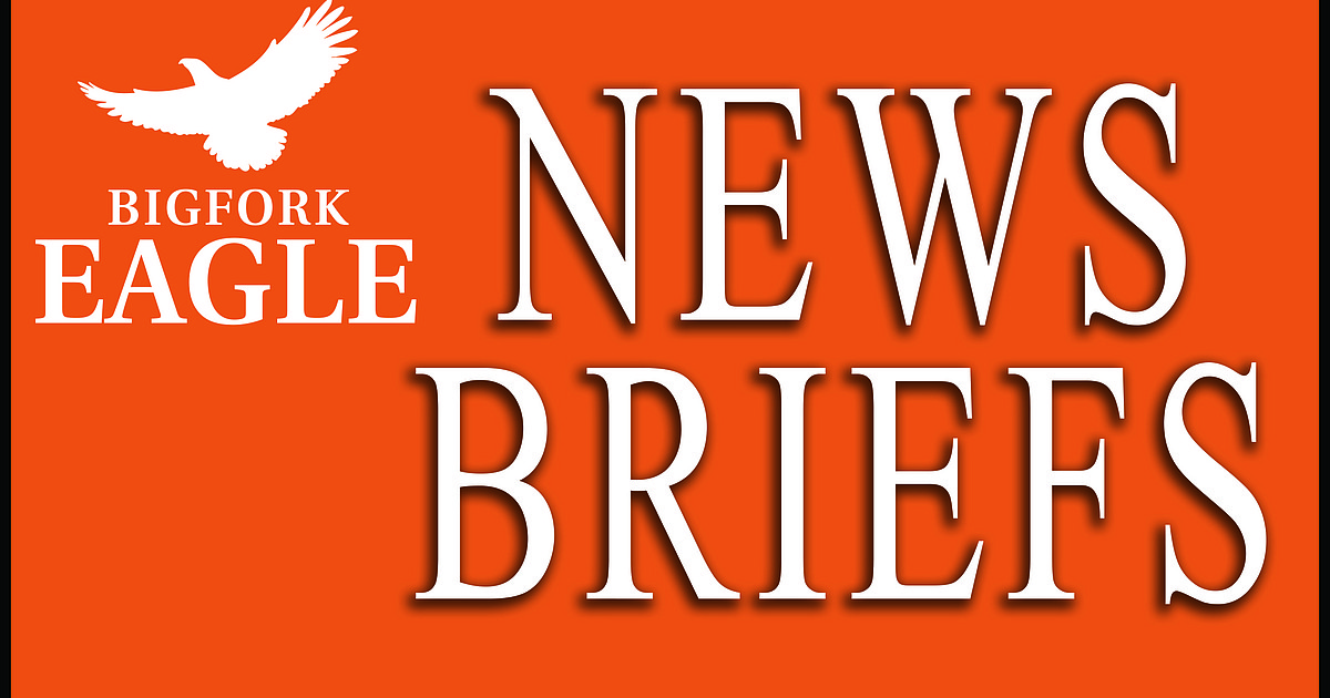 BRIEFS | Bigfork Eagle