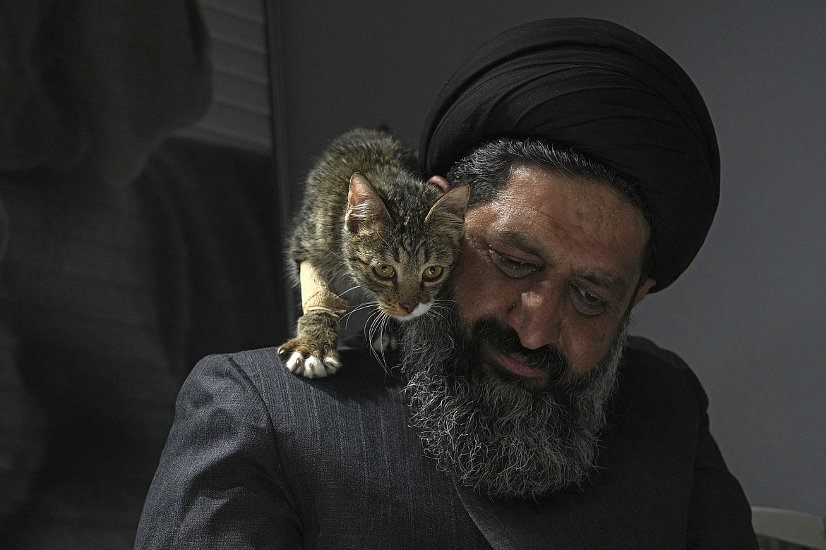 Defying taboos, Shiite cleric in Iran takes in street dogs and nurses ...