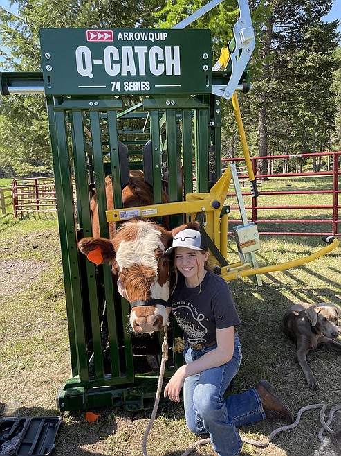 LOR, Libby 4-H team up for safe cattle handling | Western News