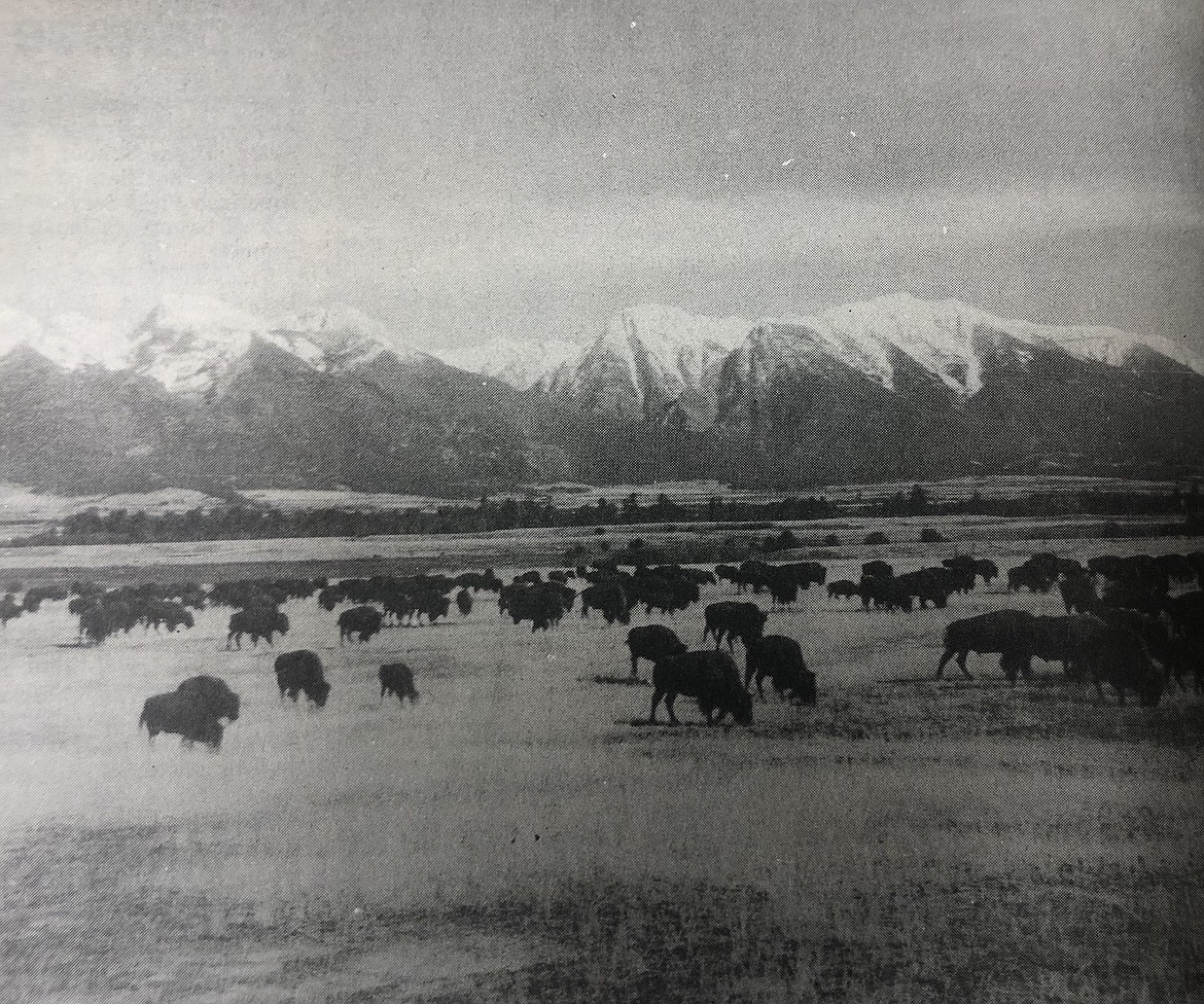 Time Capsule: Flathead fugitive, tuberculosis rampant, well runs dry ...