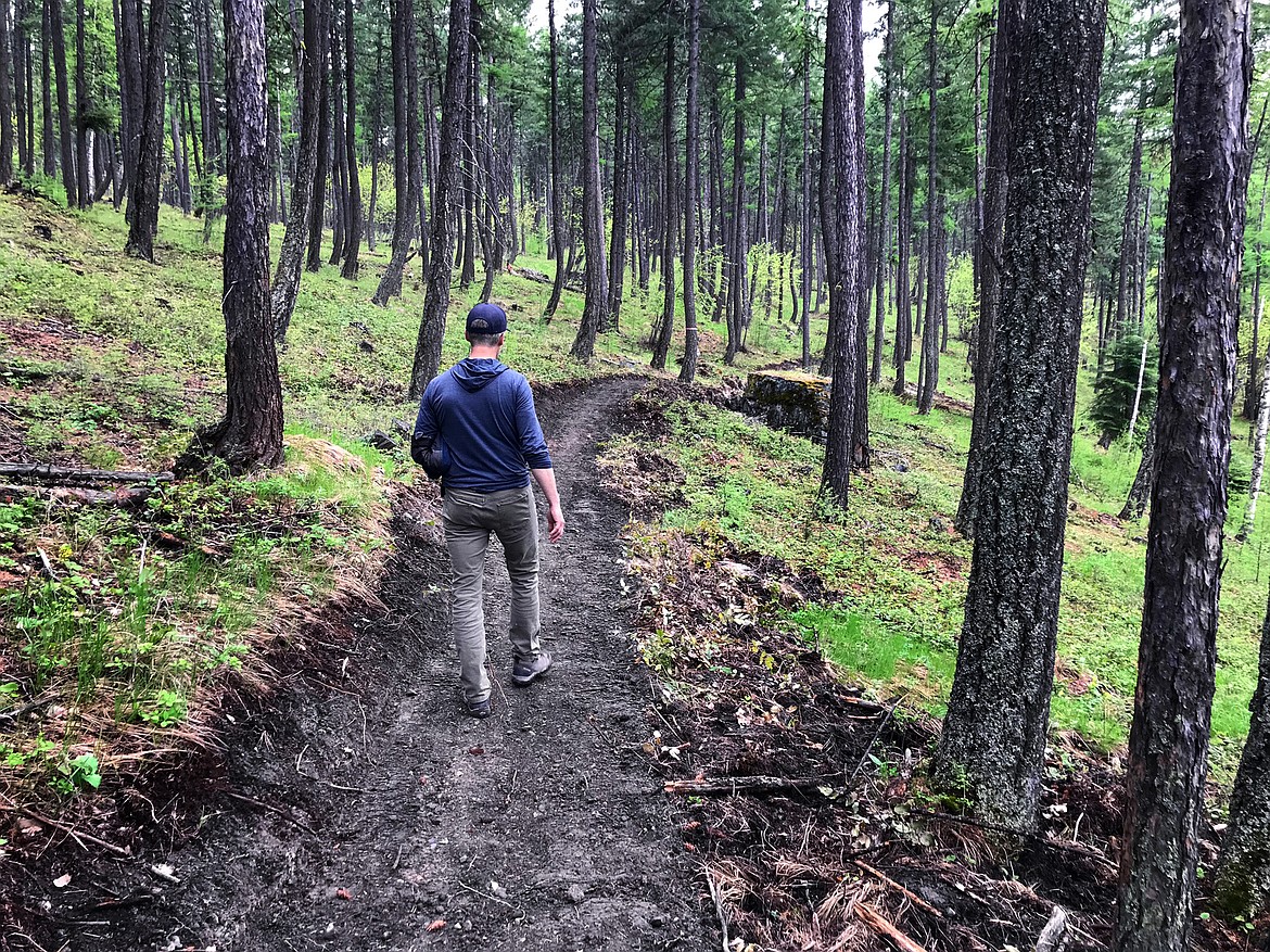 New community trail system under construction | Bigfork Eagle