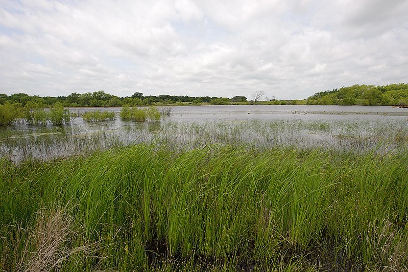 Wetlands’ fate up to the states | Bonner County Daily Bee