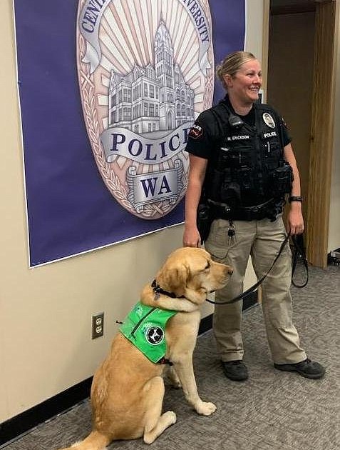 CWU police expect therapy dog to make positive impacts | Columbia Basin ...