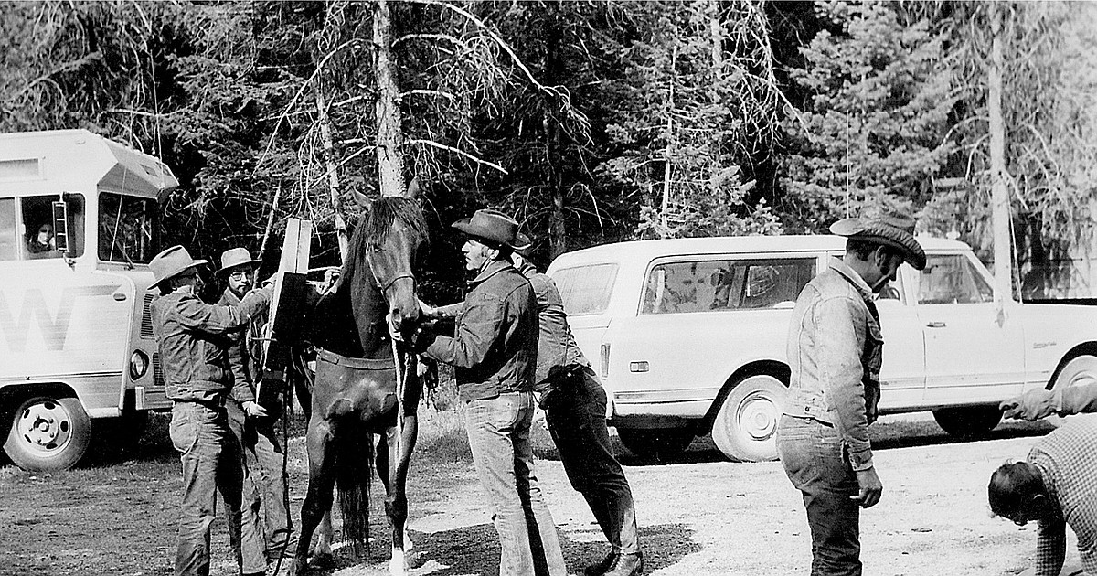 Horsepower — Back Country Horsemen mark 50 years | Hagadone News Network