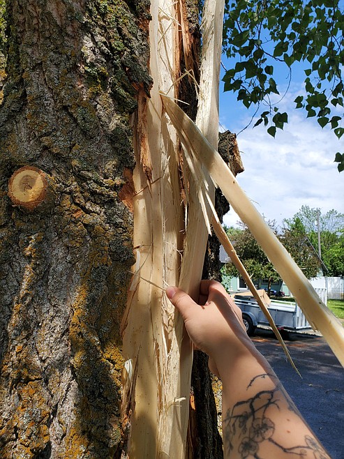 Too close for comfort | Coeur d'Alene Press