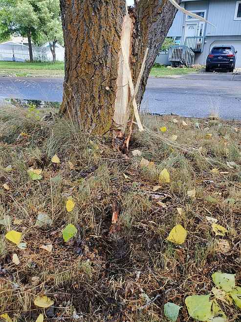 Too close for comfort | Coeur d'Alene Press