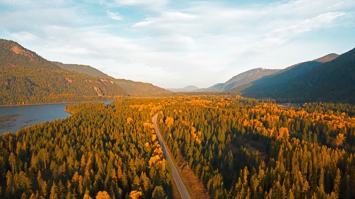 Vital Ground preserves grizzly land | Bonners Ferry Herald