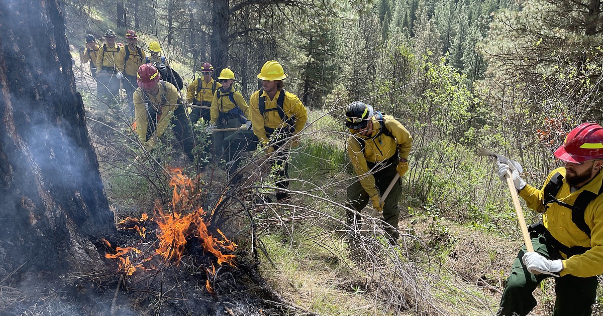 A small, special force of firefighters | Bonner County Daily Bee