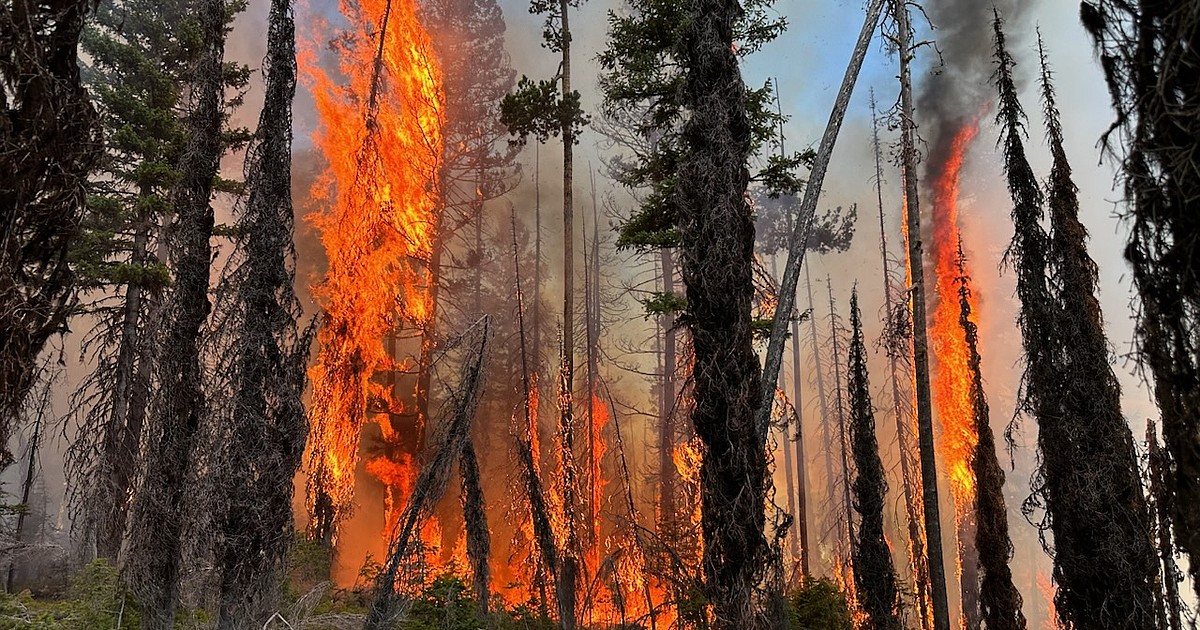 Fire in Seeley-Swan grows to 2,927 acres | Bigfork Eagle