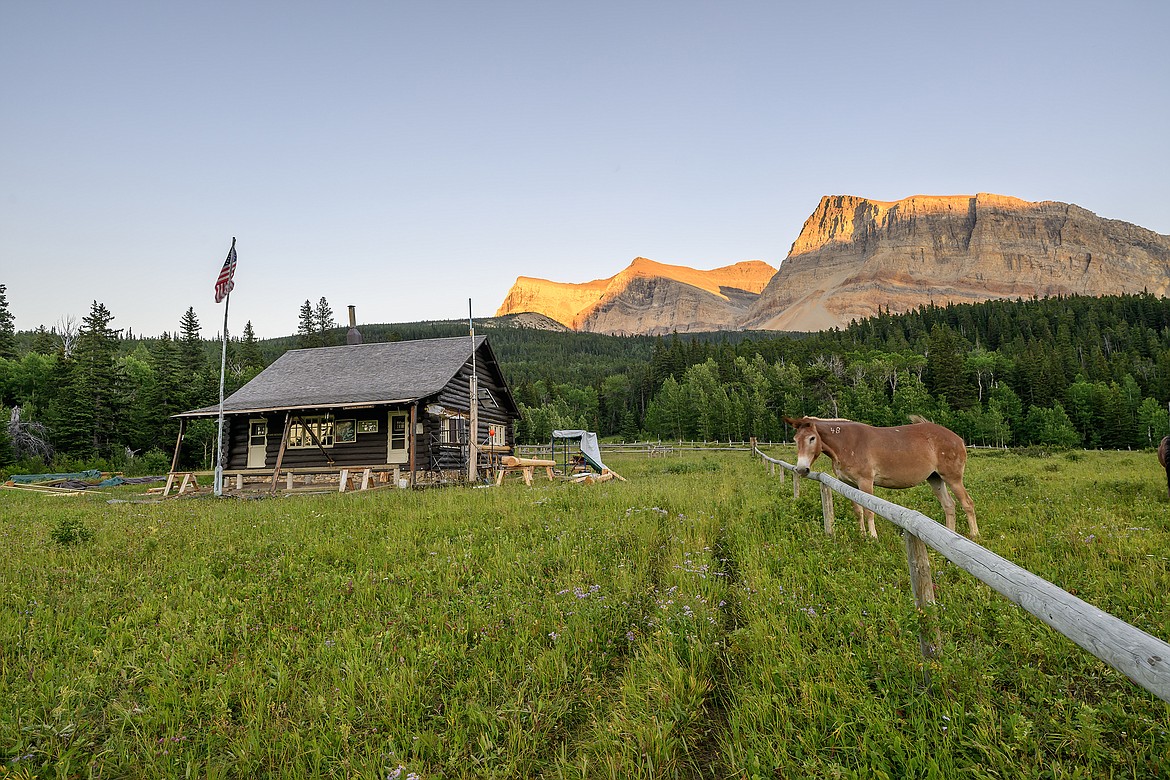 Opinion: Scratching the Belly | Hungry Horse News