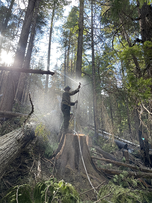 Gains continue on Consalus Fire | Bonner County Daily Bee