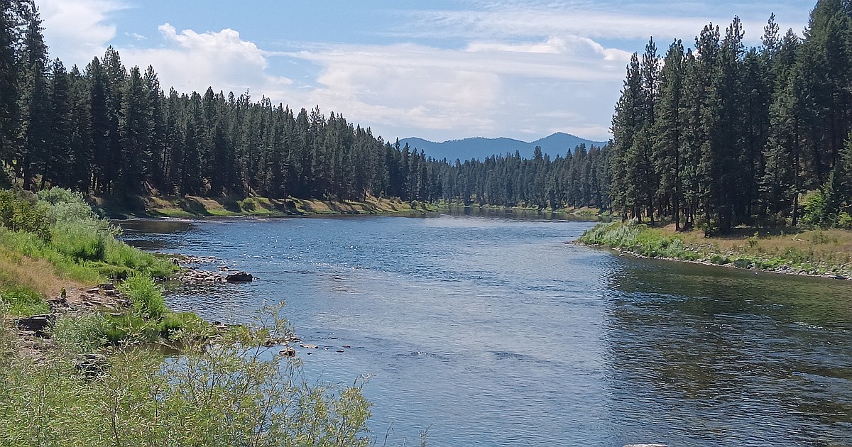 Heat brings fishing restrictions on Clark Fork River | Valley Press ...