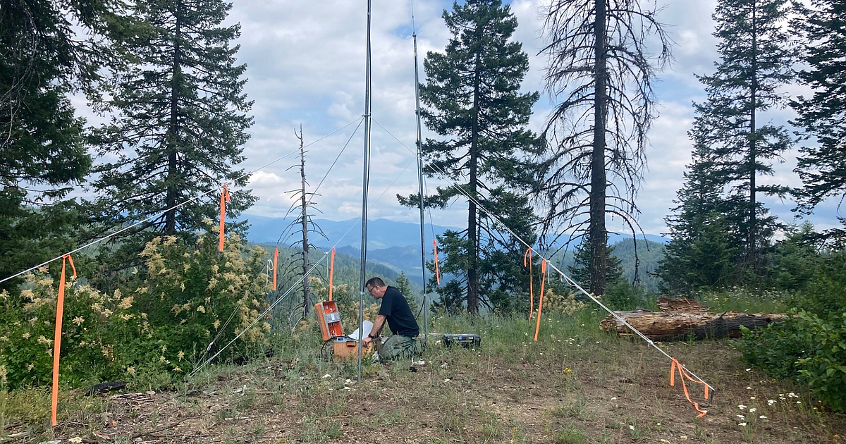 Consalus Fire downgraded | Bonner County Daily Bee