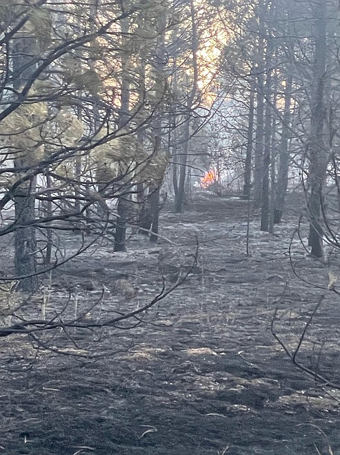 Fire burns 60 acres near Silverwood | Coeur d'Alene Press