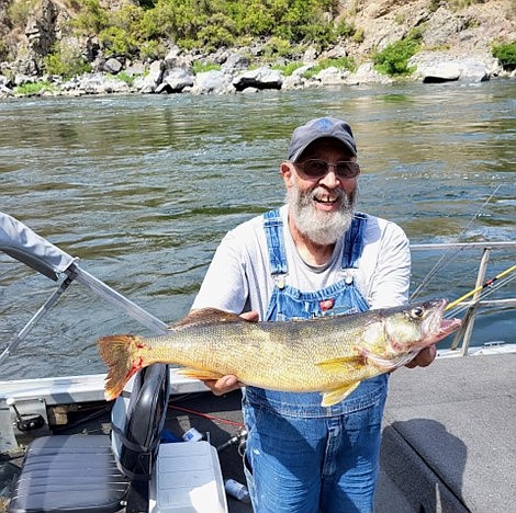 Walleye spreading into Idaho | Coeur d'Alene Press
