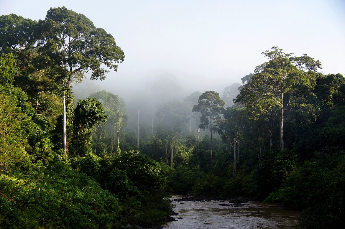 Researchers find that national parks protect wildlife in surrounding ...