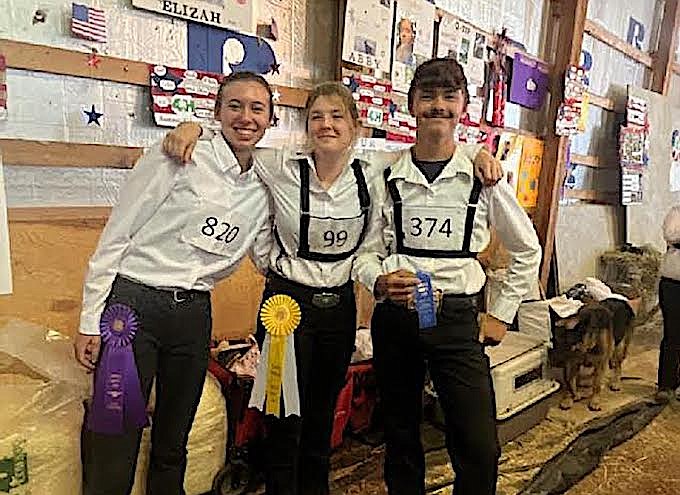 Troy, Libby 4-H clubs show well at Lincoln Co. Fair | Western News