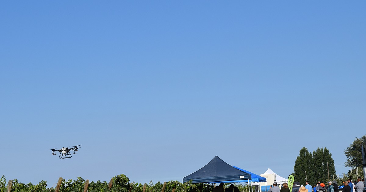 Smart Orchard: Field Day showcases agricultural research from three ...