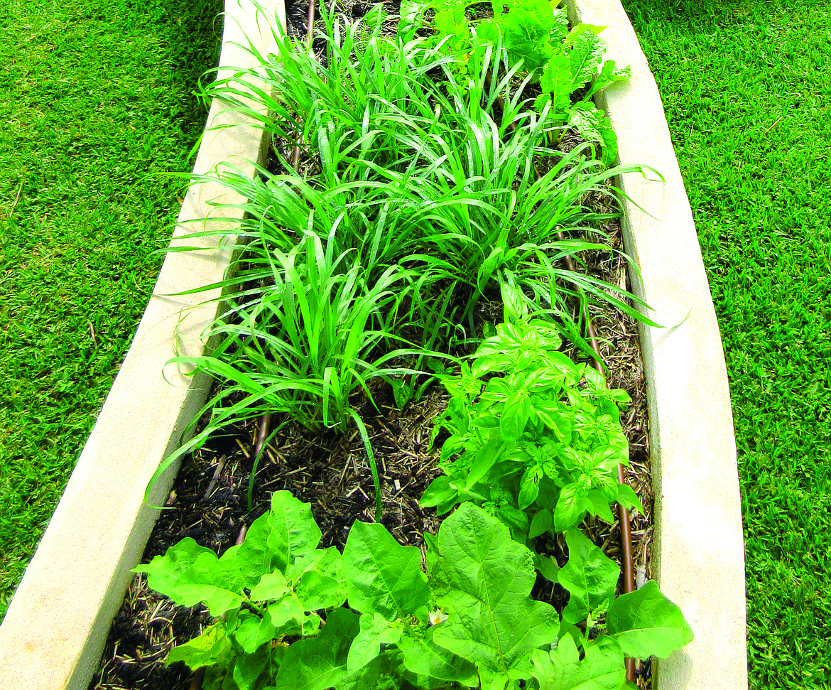 MGs offer 'edible landscaping' class | Bonner County Daily Bee