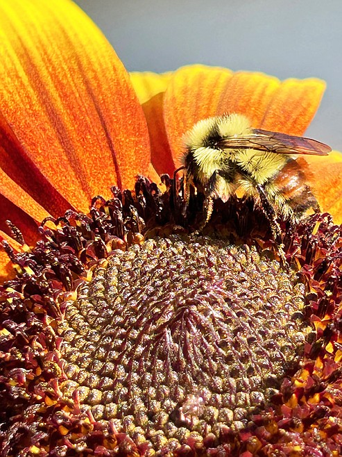 Best Shot - Sept. 19, 2023 | Bonner County Daily Bee