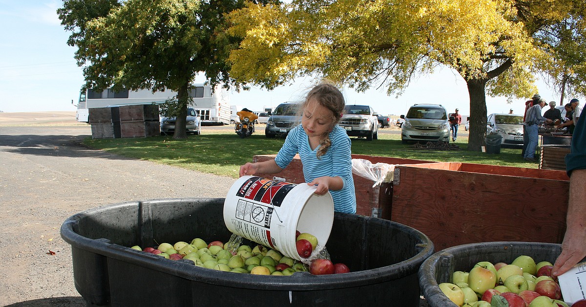 Mennonite Country Auction coming Saturday | Columbia Basin Herald