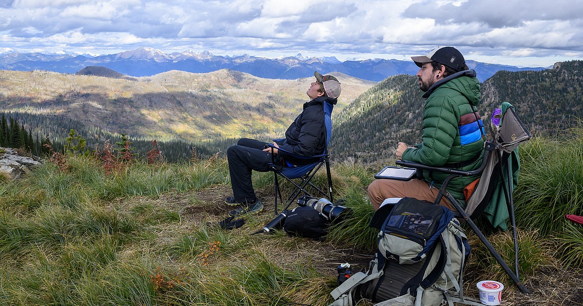 Hawk watchers keep an eye on the sky | Hungry Horse News