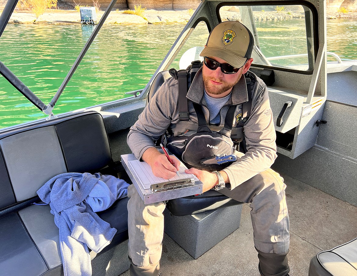 Snake River fish mortality survey continues | Coeur d'Alene Press