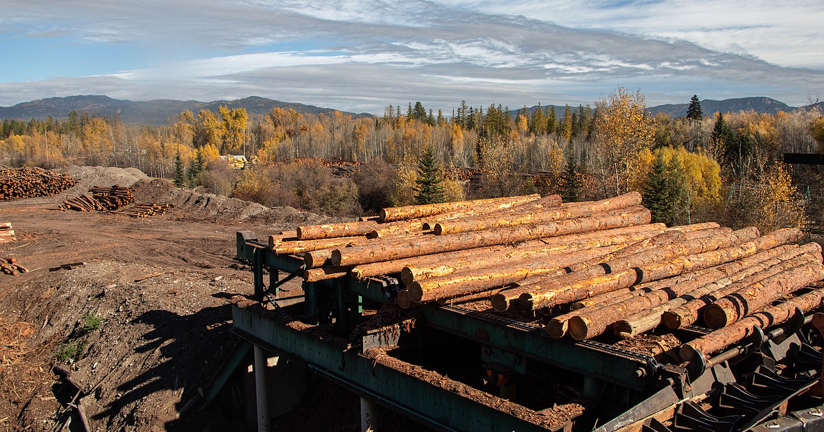 New law benefits small timber projects | Hagadone News Network