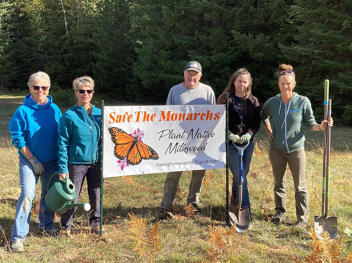 Group aims to help Monarchs soar | Bonner County Daily Bee