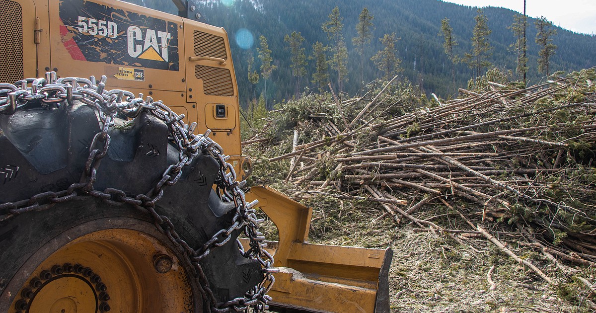 5,400 acre timber project planned near Bob Marshall | Bigfork Eagle