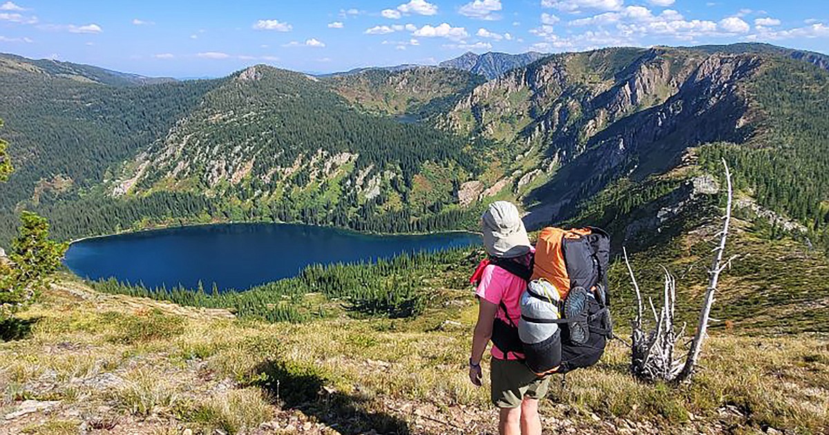 What is it? Elusive critter captures hikers' attention | Bonner County ...