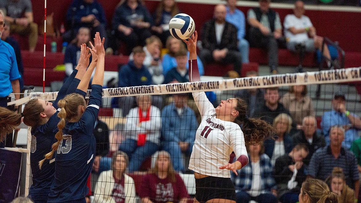 NIC VOLLEYBALL: Cardinals badger Bellevue, advance to semifinals ...