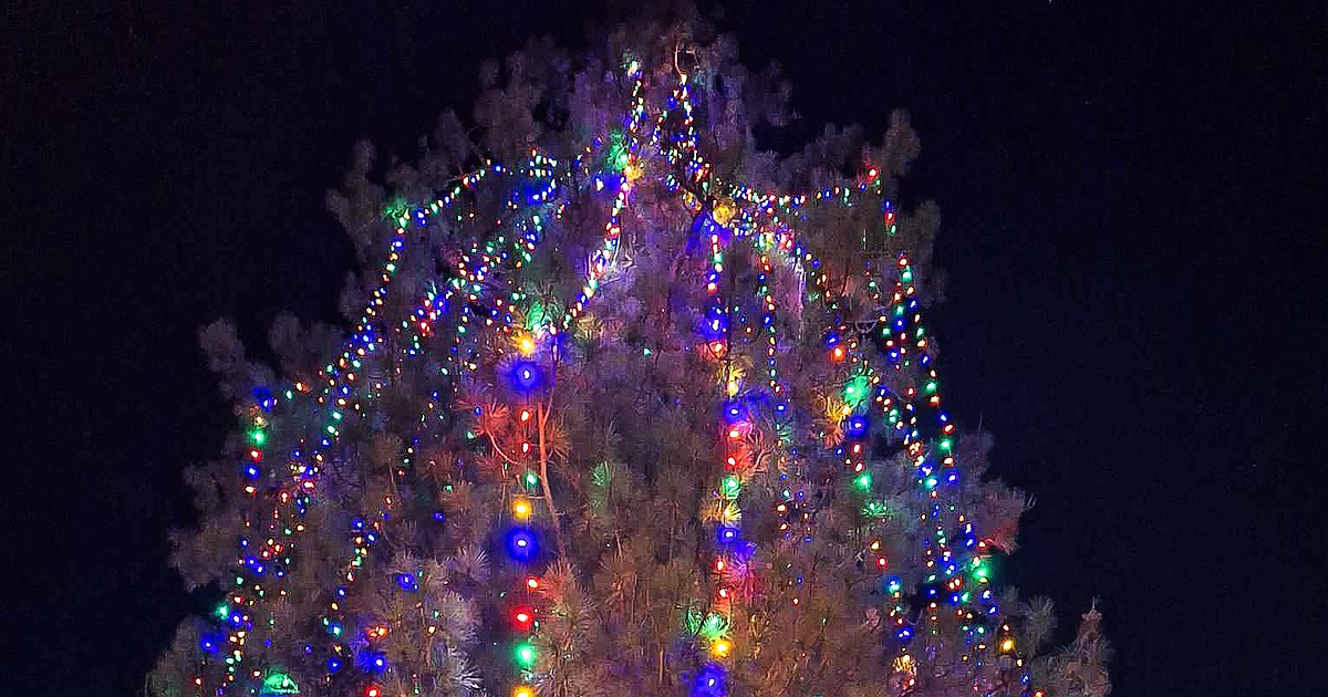 Troy Christmas tree lighting | Western News