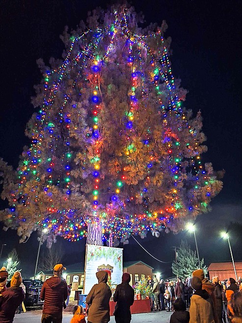 Troy Christmas tree lighting | Western News