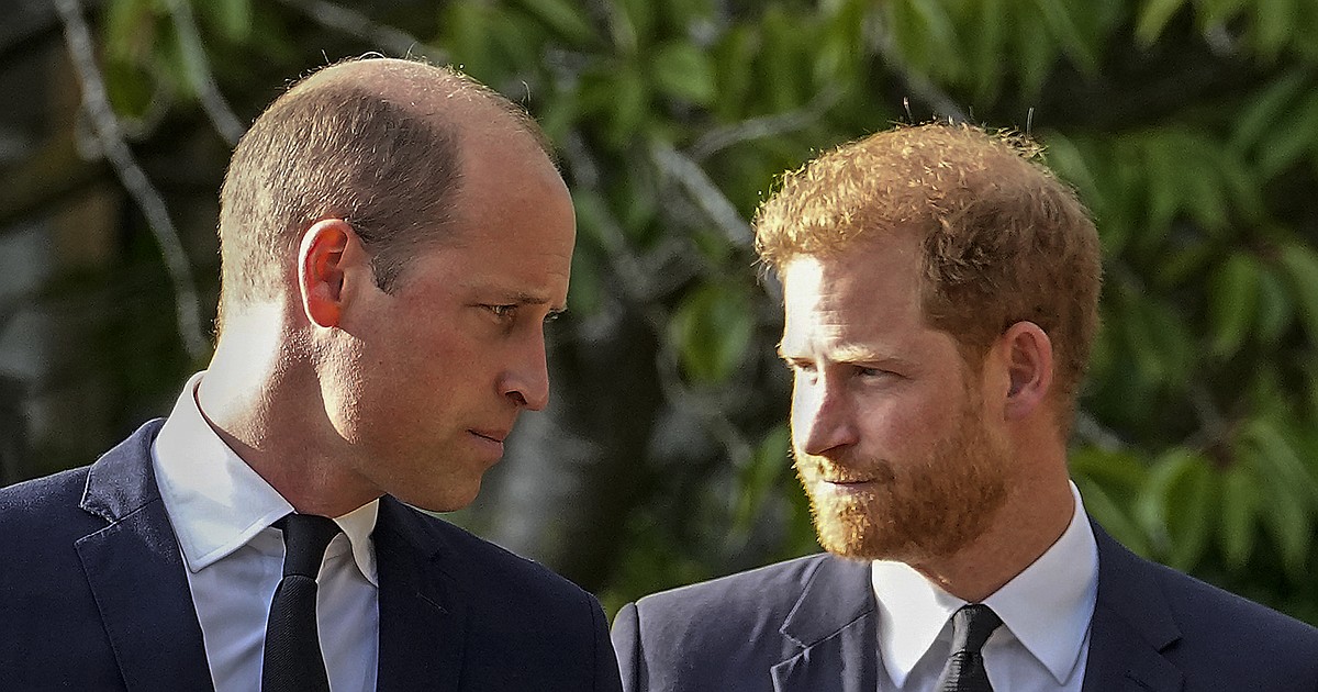 Prince Harry's visit to see King Charles III didn't bring ...