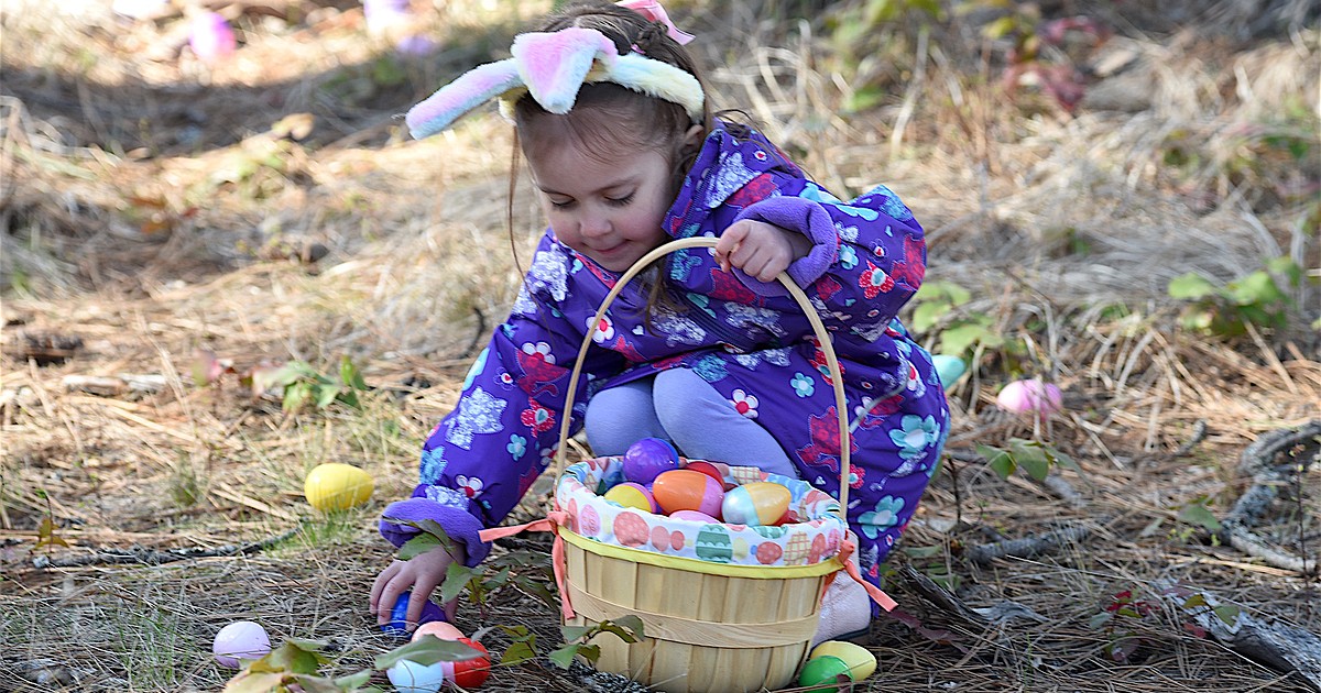 WILD ART-LIBBY Easter egg hunt | Western News
