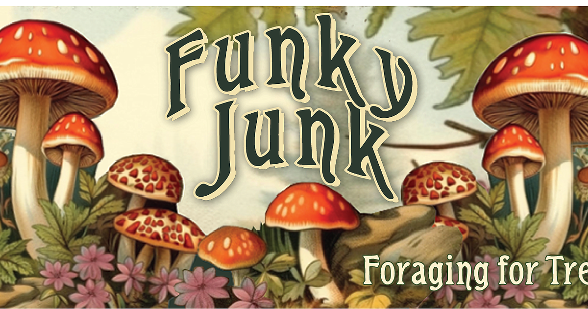 'Forage for treasure' at Funky Junk | Bonner County Daily Bee