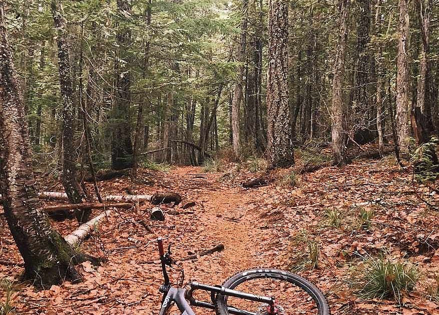 Panhandle Bike Ranch CUP approved | Bonner County Daily Bee