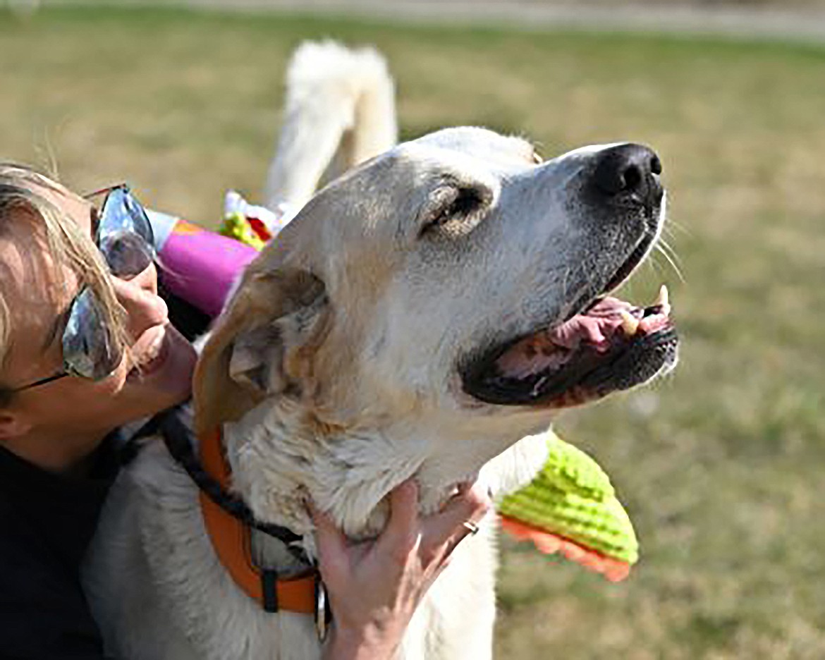 BTAA takes part in 'Empty the Shelter' event | Bonner County Daily Bee