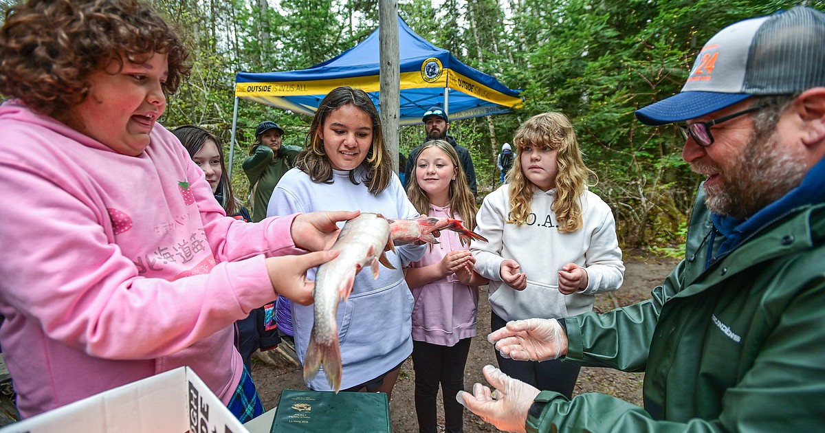Family Forestry Expo showcases natural resources | Daily Inter Lake