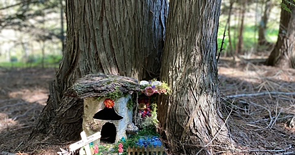 Students create fairy homes | Bonner County Daily Bee