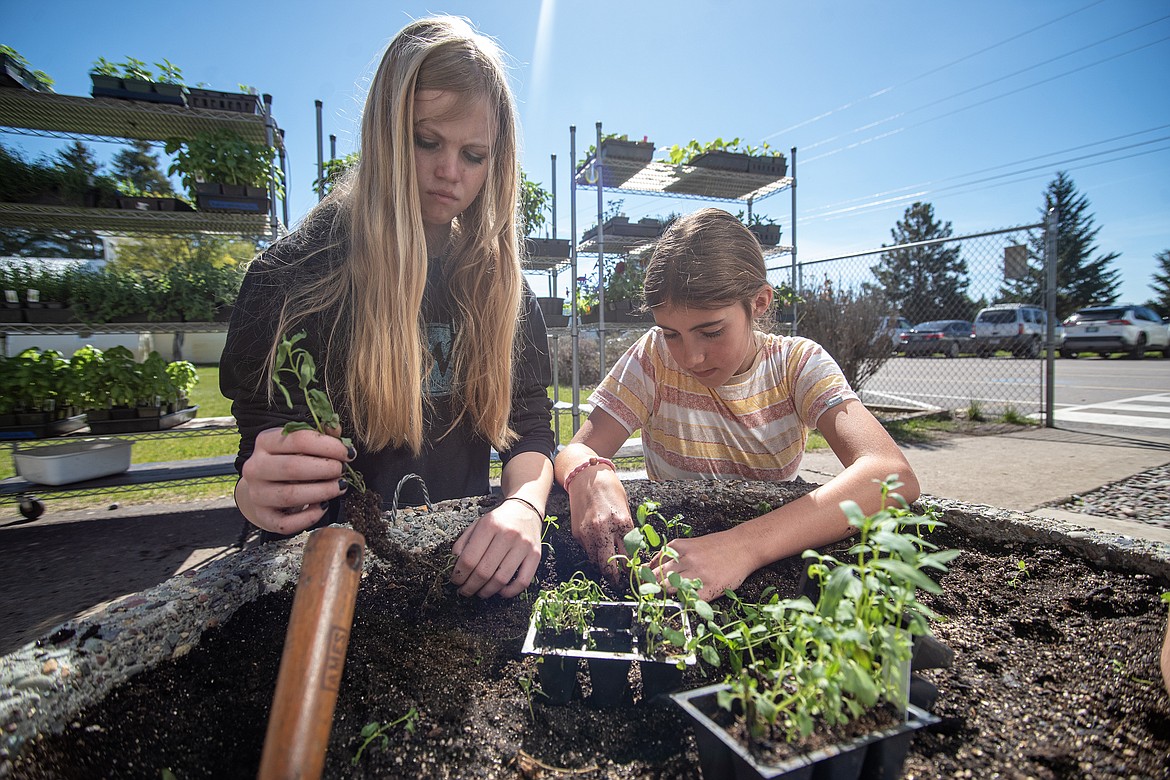 Cayuse Prairie School hosting plant sale this week | Bigfork Eagle