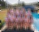 Municipal pool opens for 90th season | Bonners Ferry Herald