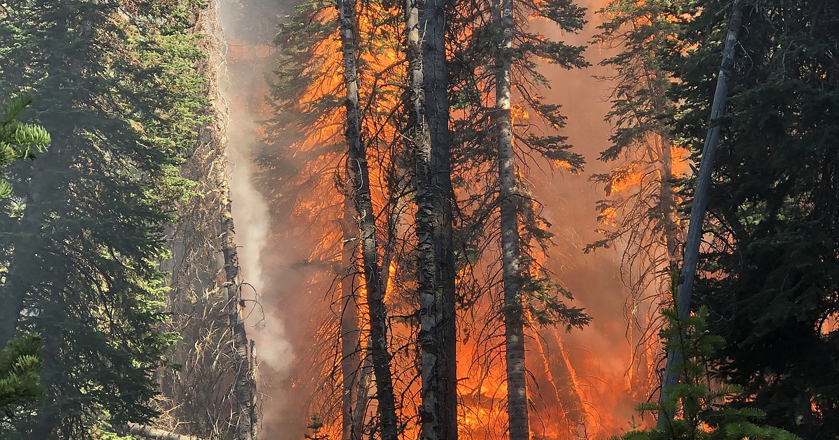 JULY NIBJ: Panhandle Timber Defense works to protect against wildfires ...