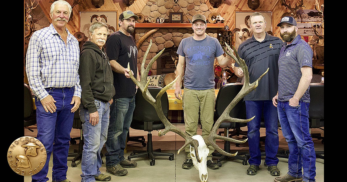 It’s official: New world record Roosevelt’s elk smashes old mark ...