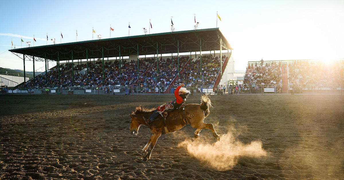 Wrangle up some seats – County fairgrounds grandstands expected to open ...