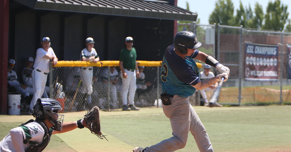 River Dogs to host River Dog Memorial Tournament this weekend ...